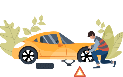 VTNZ | Find your Local VTNZ Branch